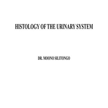 HISTOLOGY OF THE URINARY SYSTEM.pptx