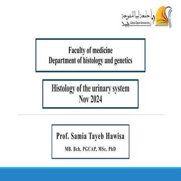 Histology of the urinary system L-1 for master | PDF