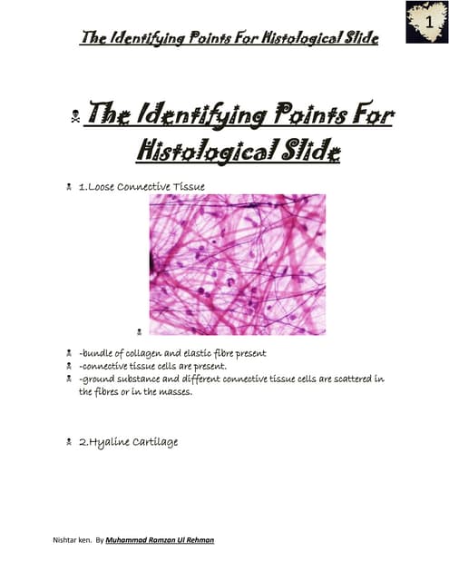 Identification points of general histology slides | DOCX | Biological ...