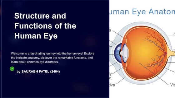 Anatomy Of Human Eye Ppt
