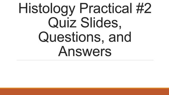 Pointless powerpoint | PPTX