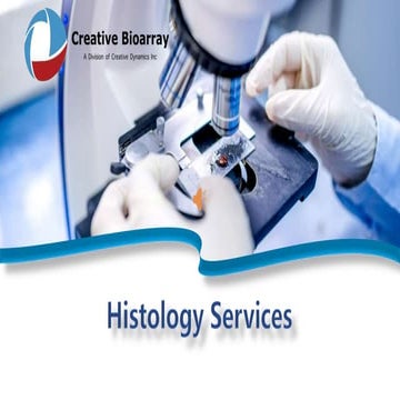 Histology Helper _ Home: The Histology Guide – RPZGIY