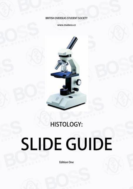 Identification points of general histology slides | PDF
