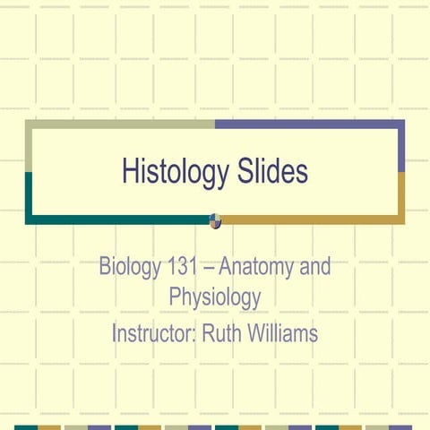 Histology Slides.ppt