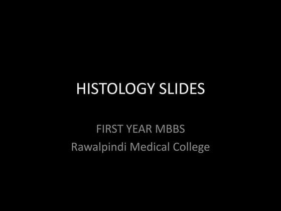 Identification points of general histology slides | DOCX | Biological ...