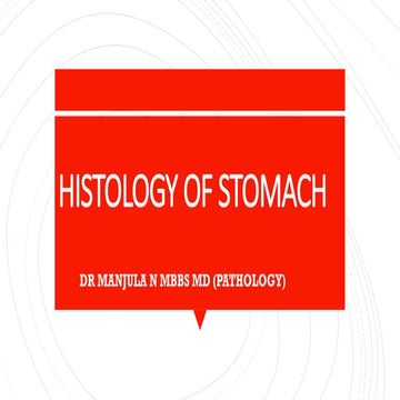 Histology of Stomach. pptx | PPTX