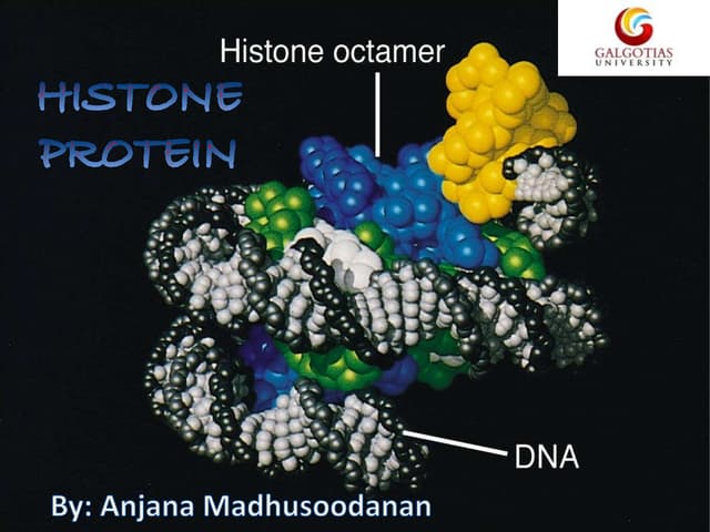 Histones | PPTX