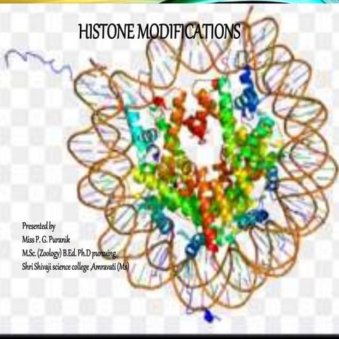 Histone modifications.ppt