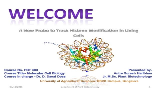 Brief Introduction Of Post Translational Modifications Ptms