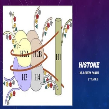 presentation on Histones and its functions | PPTX