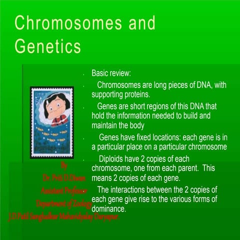 chromosome and genetics | PPTX | Genetics | Science