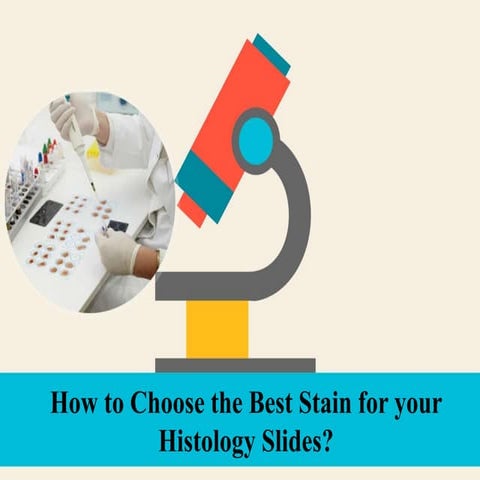 Histopathology Laboratory Pptx