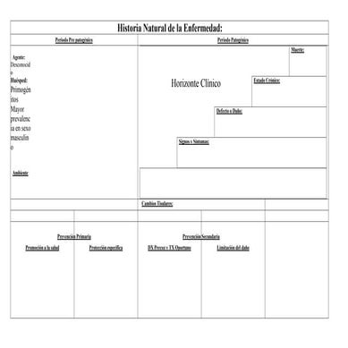 historia-natural-de-la-enfermedad-formato-nuevo.docx