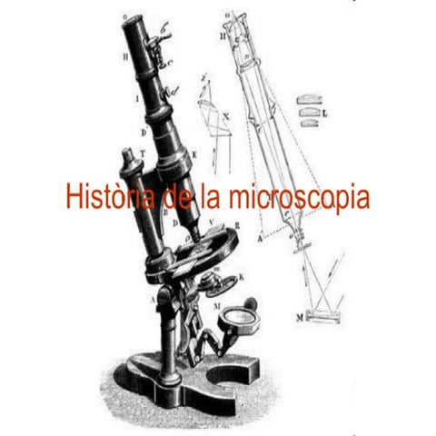 Historia de la microscopia | PPS