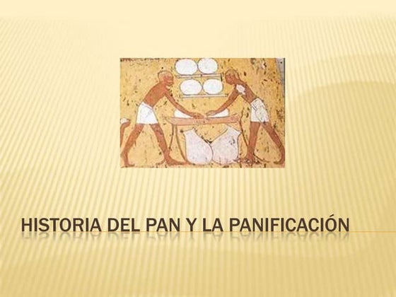Fases de elaboración del pan | ODP