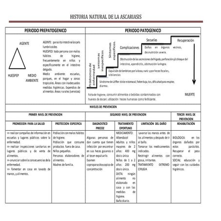 HISTORIA NATURAL DE LA ENFERMEDAD. NIVELES DE PREVENCIÓN. Epidemiolog…