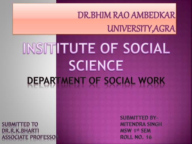 Historical Development of Social Work in USA | PPTX