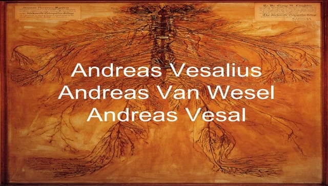 Andreas Vesalius Famous Quotes