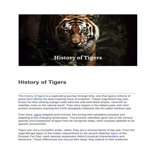 History-of-Tigers.pdf