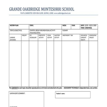 HISTORY LESSON PLAN.docx