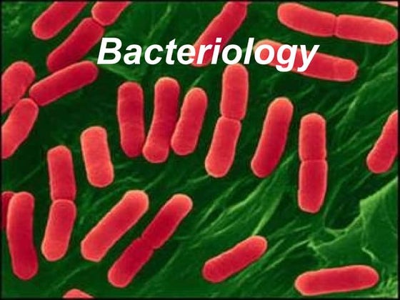Louis pasteur | PPT