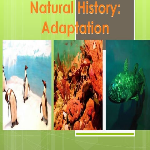 History natural | PPTX