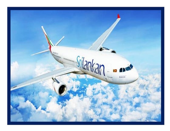 Airline Operations | PPTX | Air Travel | Travel Type