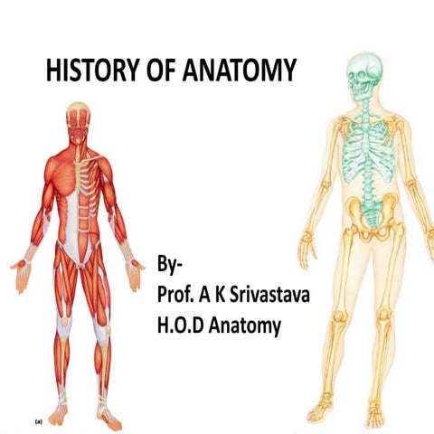 HISTORY OF ANATOMY.ppt