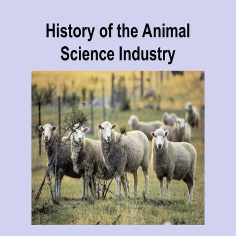 History and Process of Animal Science Industry.ppt