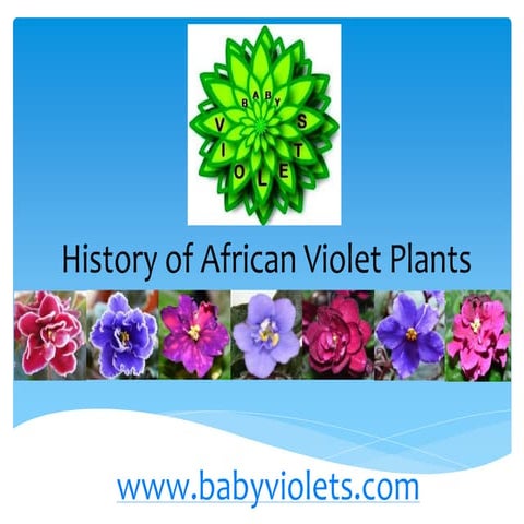 History of African Violet Plants | PPTX