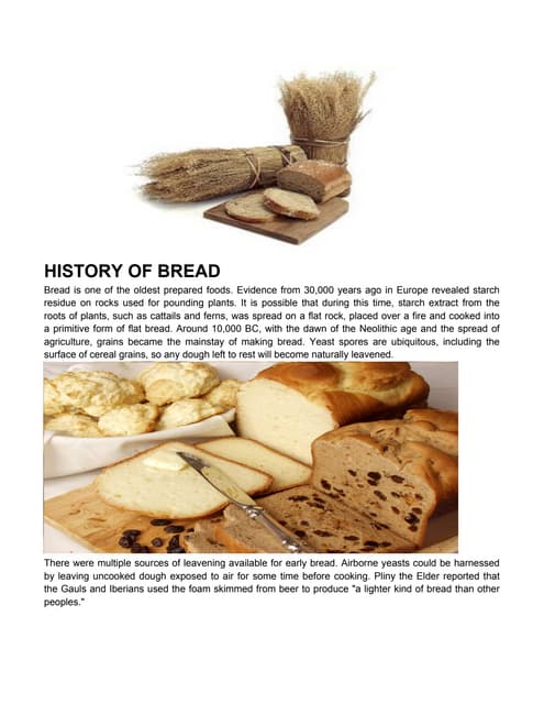 The Different Types Of Bread.pptx