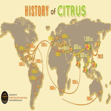 History of Citrus Map | PPT
