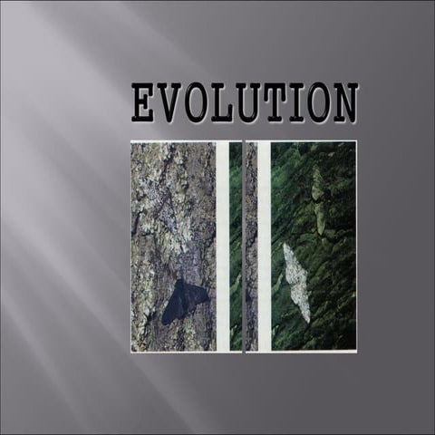 History Of Evolutionary Thought Ppt