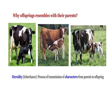 Weismann barrier or theory | PPTX