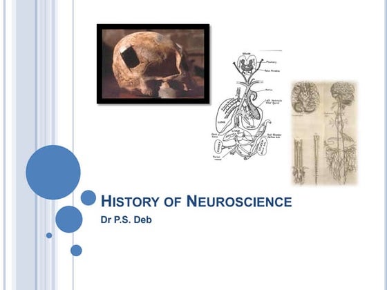 Introduction To Neuroscience | PPT