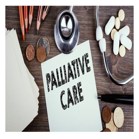HISTORY OF PALLATIVE CARE. adult health nursingpptx | PPTX