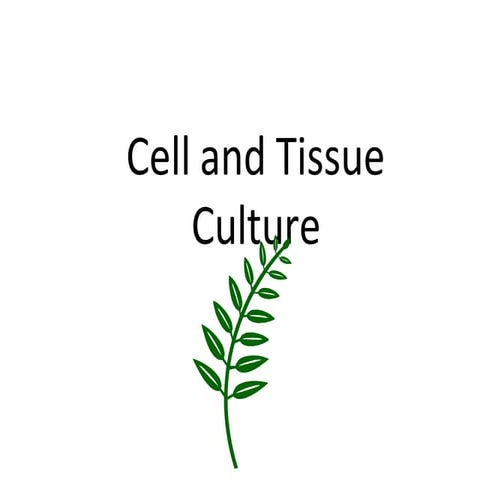 History of plant tissue culture | PPTX