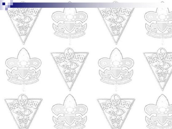 BSP Scouting and you | PPT