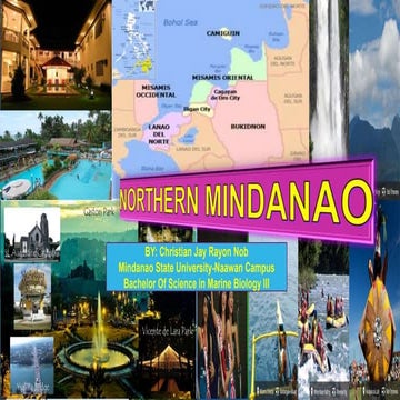 Region 10 : Northern Mindanao .pptx