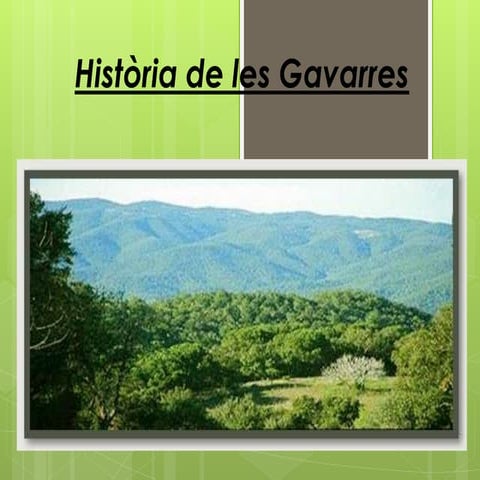 Història de les gavarres | PPTX