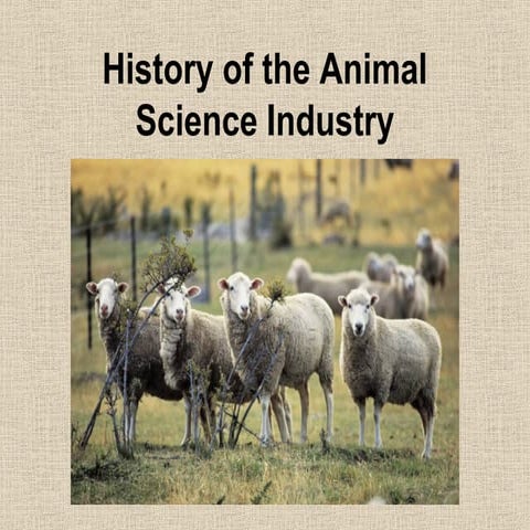 Histry of animal industry | PPT