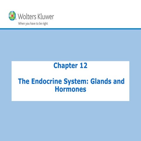 Chapter 13 Endocrine System | PPT