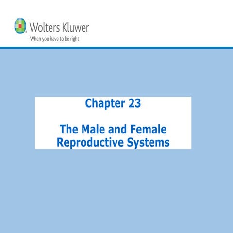 Science 5 4.1 The Male Reproductive System.pptx