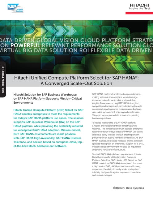 Hitachi datasheet-thin-image-snapshot | PDF