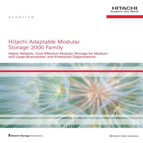 Hitachi Ams 2000 Family Overview | PDF