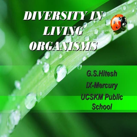 DIVERSITY IN LIVING ORGANISMS | PPT