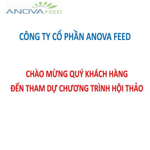 Hội thảo Anova Feed | PPTX