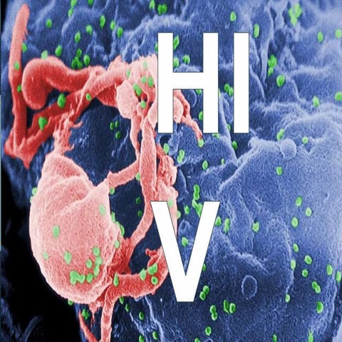 HIV / AIDS | PPTX