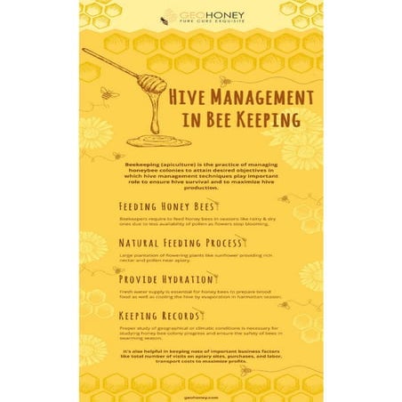 Hive management in Beekeeping - GeoHoney | PDF