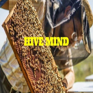 Hive mind | PPT